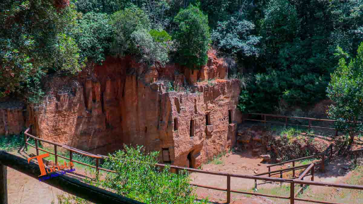 L’Antica Civiltà Etrusca rivive nel Parco Archeologico di Baratti e ...